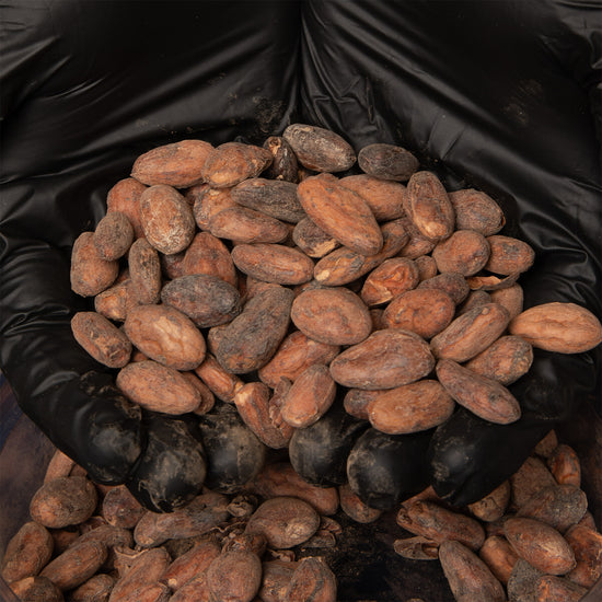 Chocolate Factory Tour – NC Chocolatier